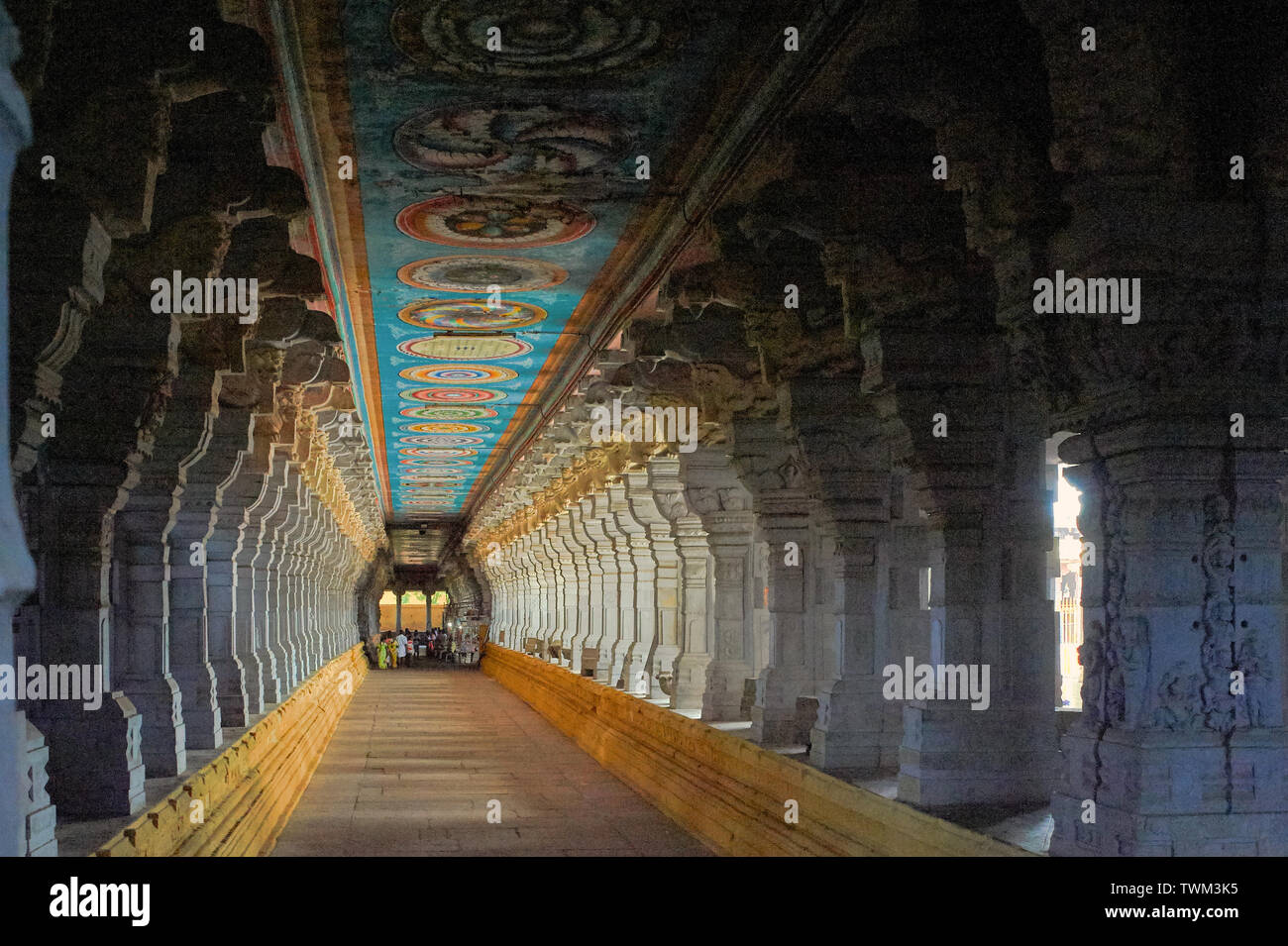 23 Aug 2009 Colourfully painted pillars and ceiling, Ramanathaswami ...