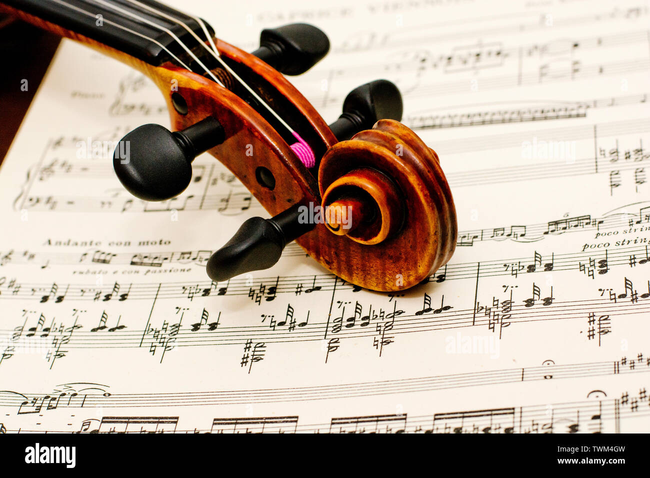 Violin neck of this classic vintage wooden instrument lying down on top ...