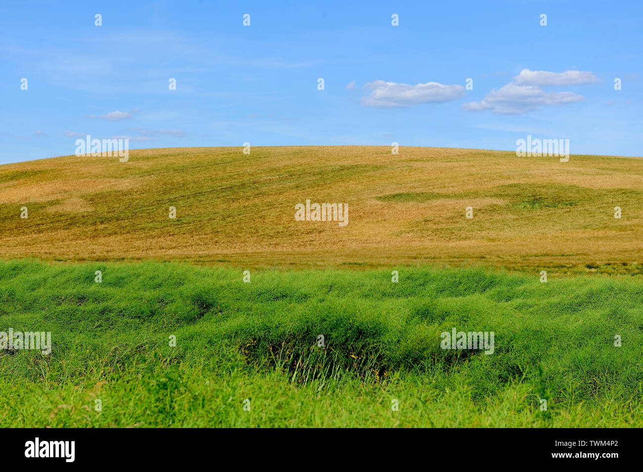 beauty, country, earth, weather, earth, green, spring, natural, natural ...