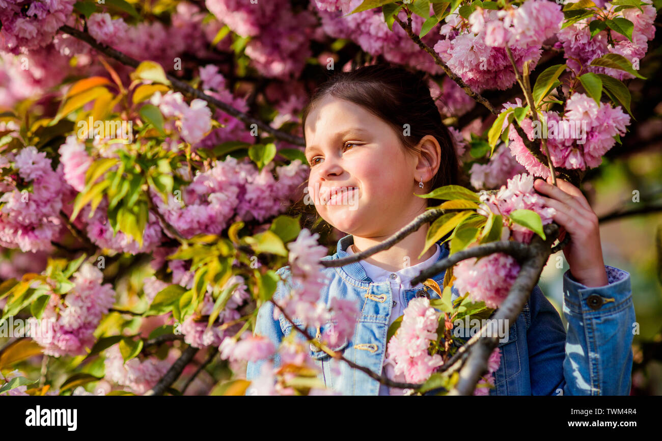 Girl cherry flower background. Sakura tree blooming. Park and garden ...