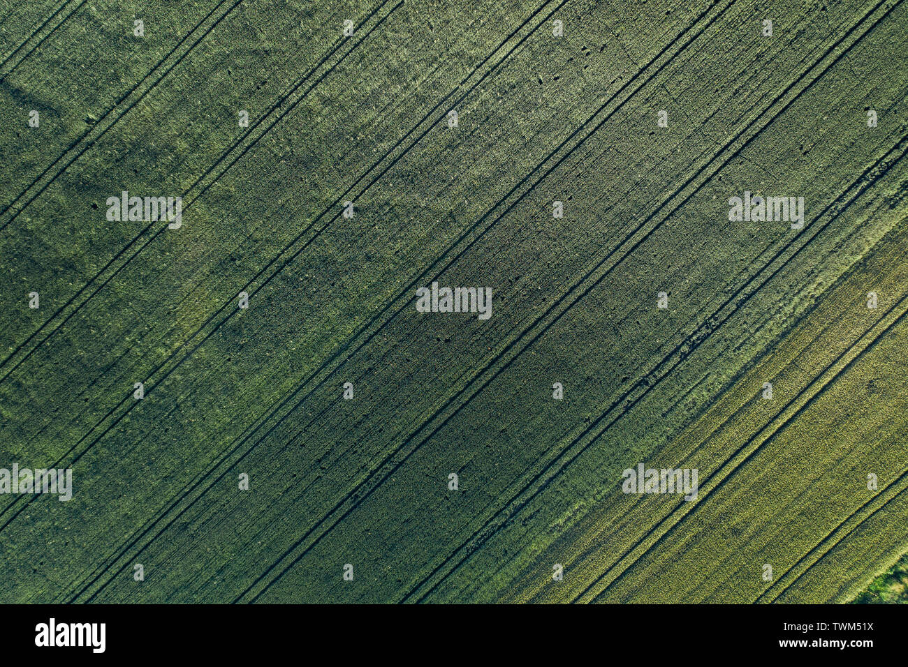 top down view of field, angled pattern Stock Photo - Alamy