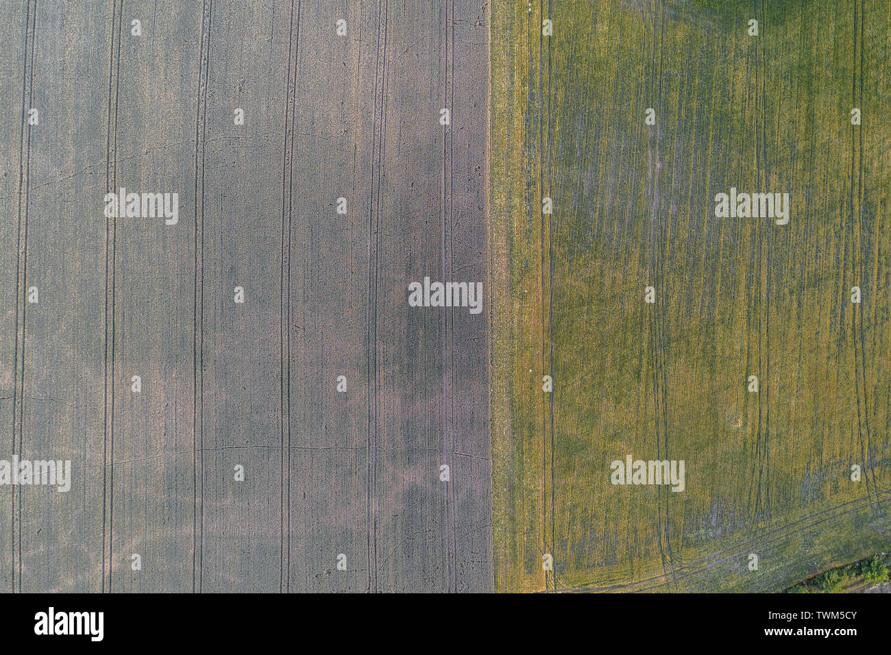 top down of the field Stock Photo - Alamy