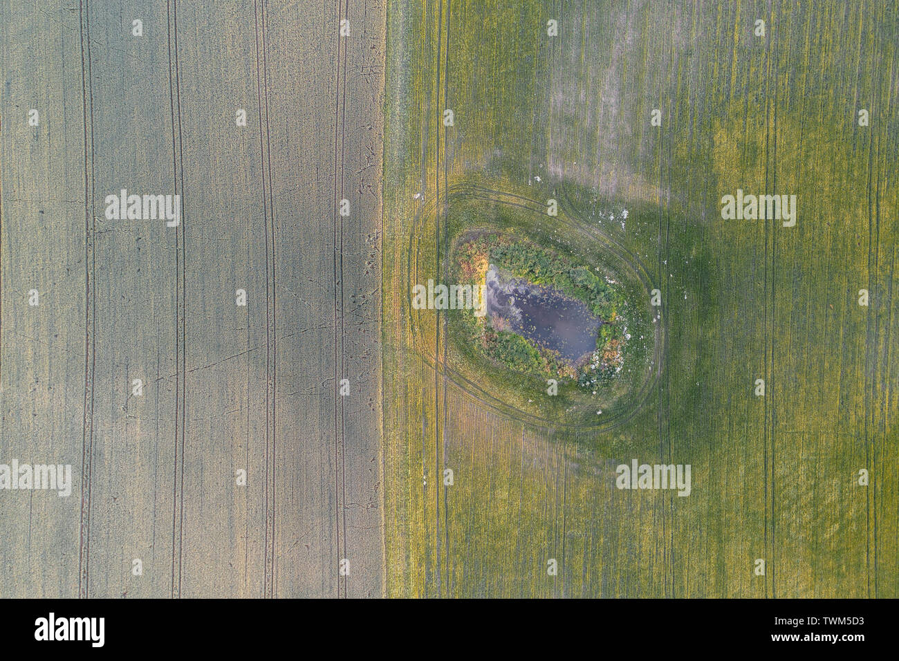 top down of the field Stock Photo - Alamy