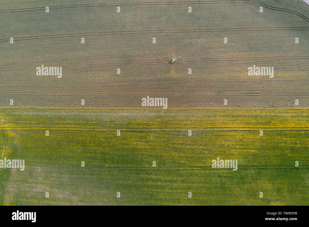 top down of the field Stock Photo - Alamy