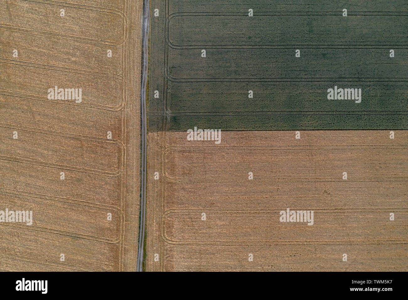 Top down view of agricultural fields, pattern Stock Photo - Alamy