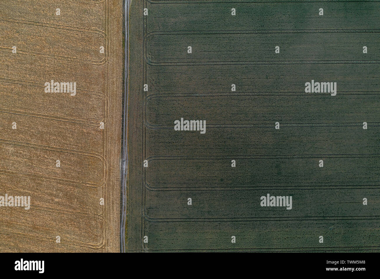 Drone top view agricultural field hi-res stock photography and images ...