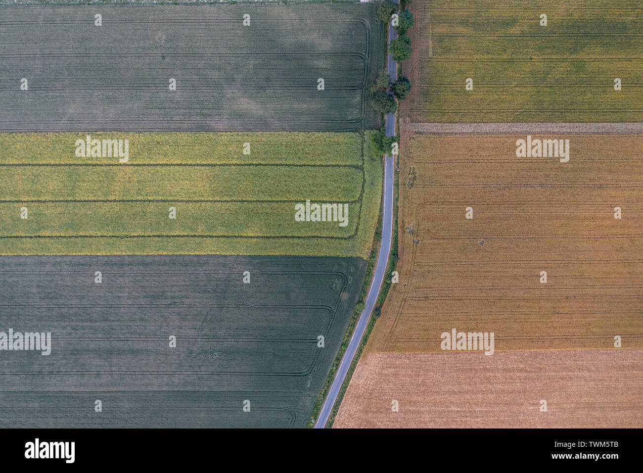 Cutting fields pattern hi-res stock photography and images - Alamy