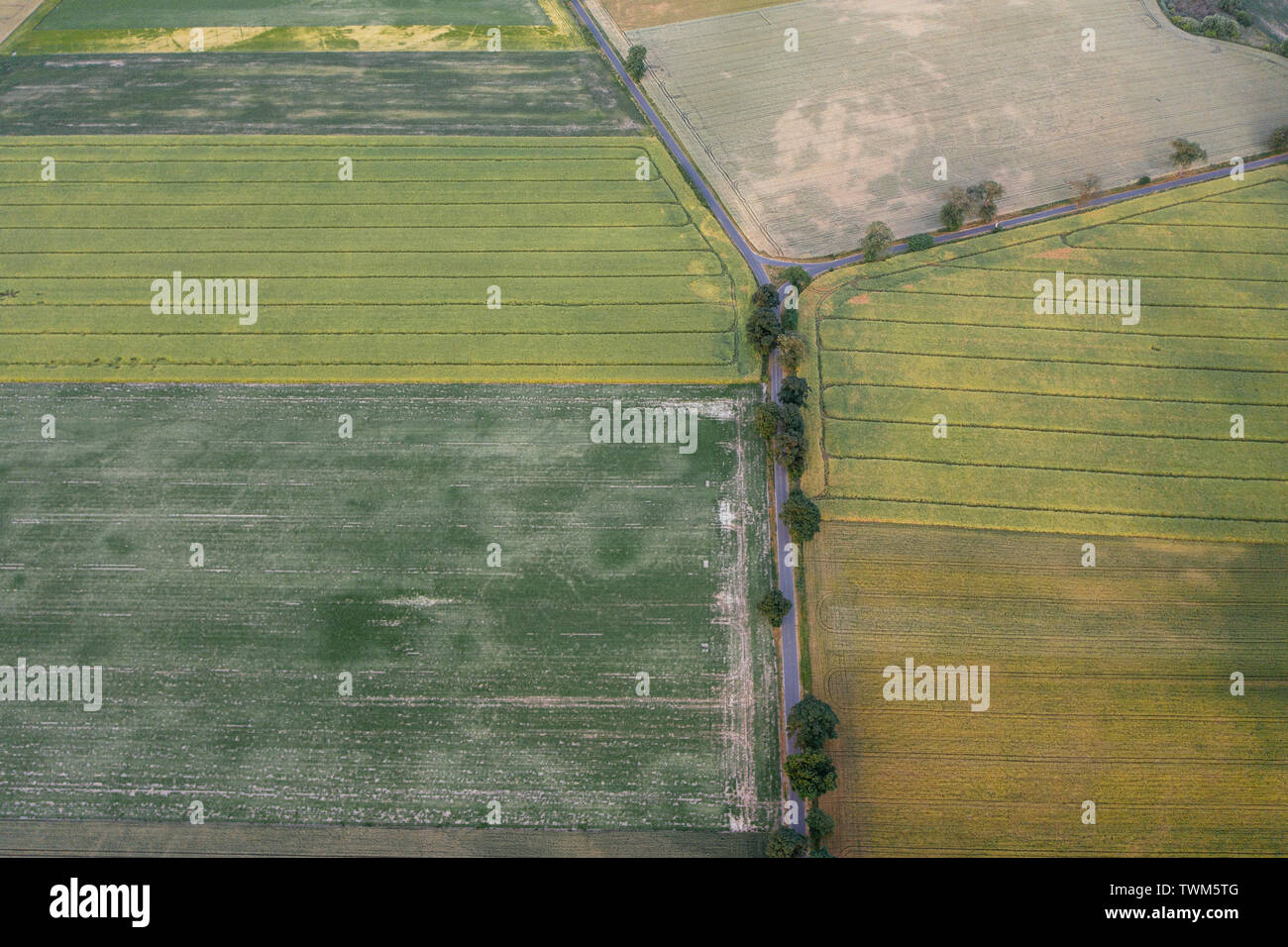 Aerial shot of the rural road intersection Stock Photo - Alamy