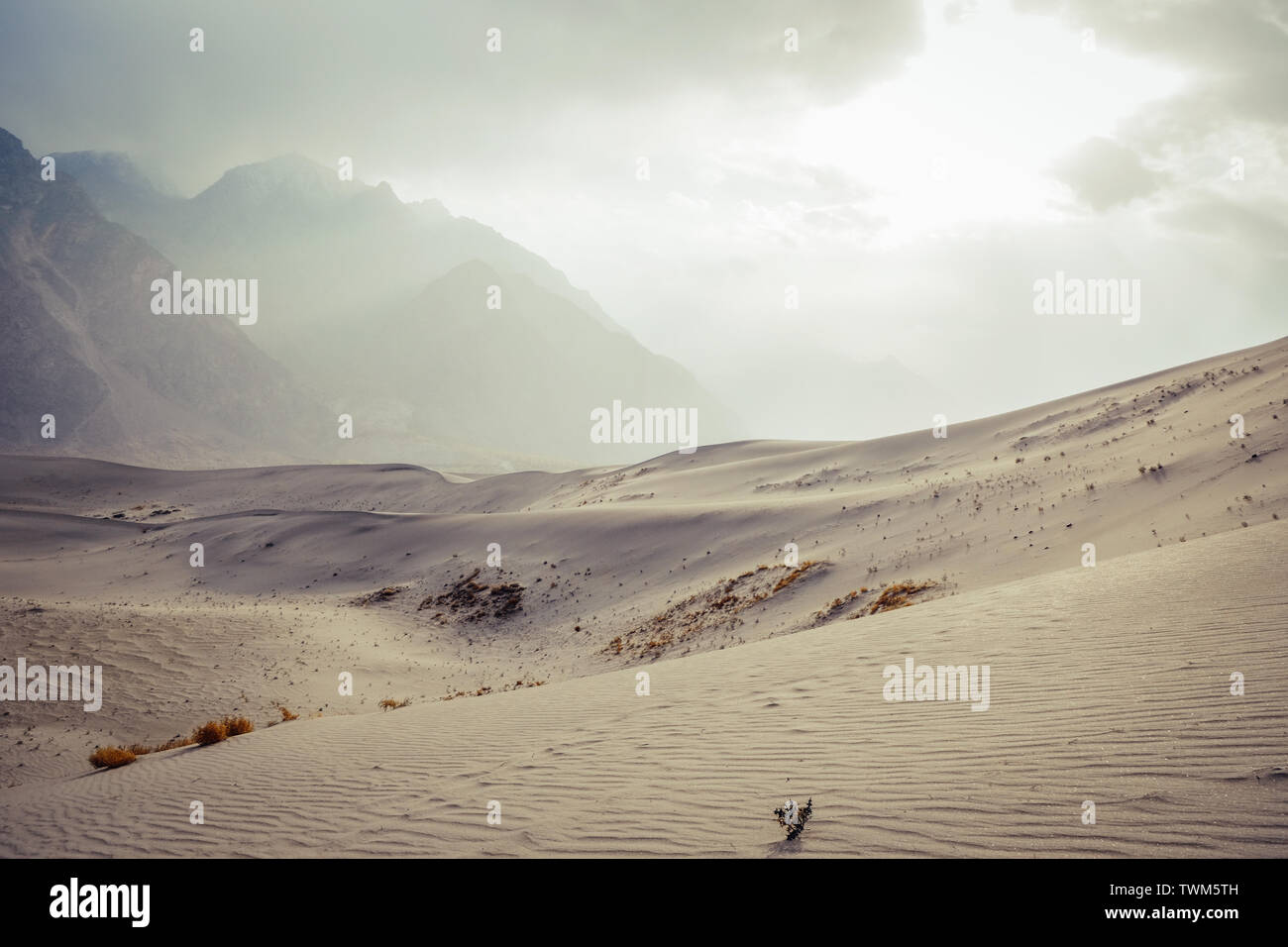 That desert pakistan hi-res stock photography and images - Alamy