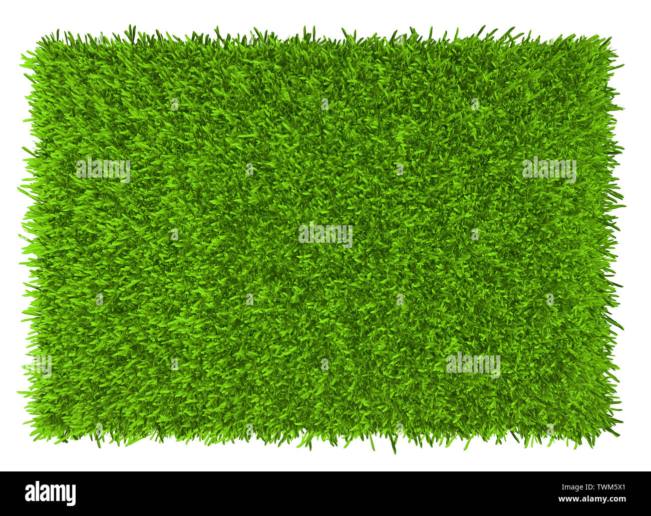 Grass background texture. fresh grass. 3d rendering Stock Photo - Alamy