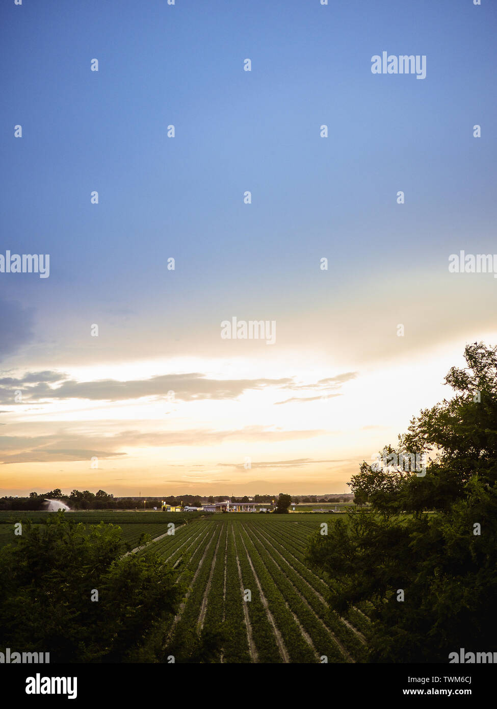 Traveling in the padana plain in northern Italy ( Piacenza area Stock ...