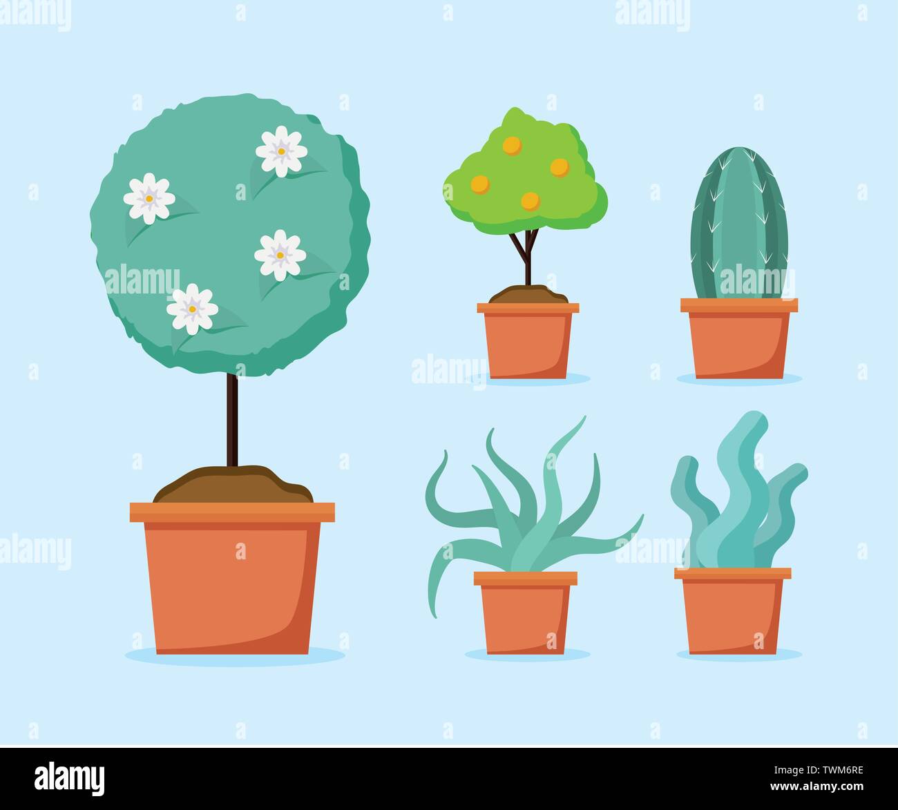 plants decoration gardening flat design Stock Vector Image & Art - Alamy