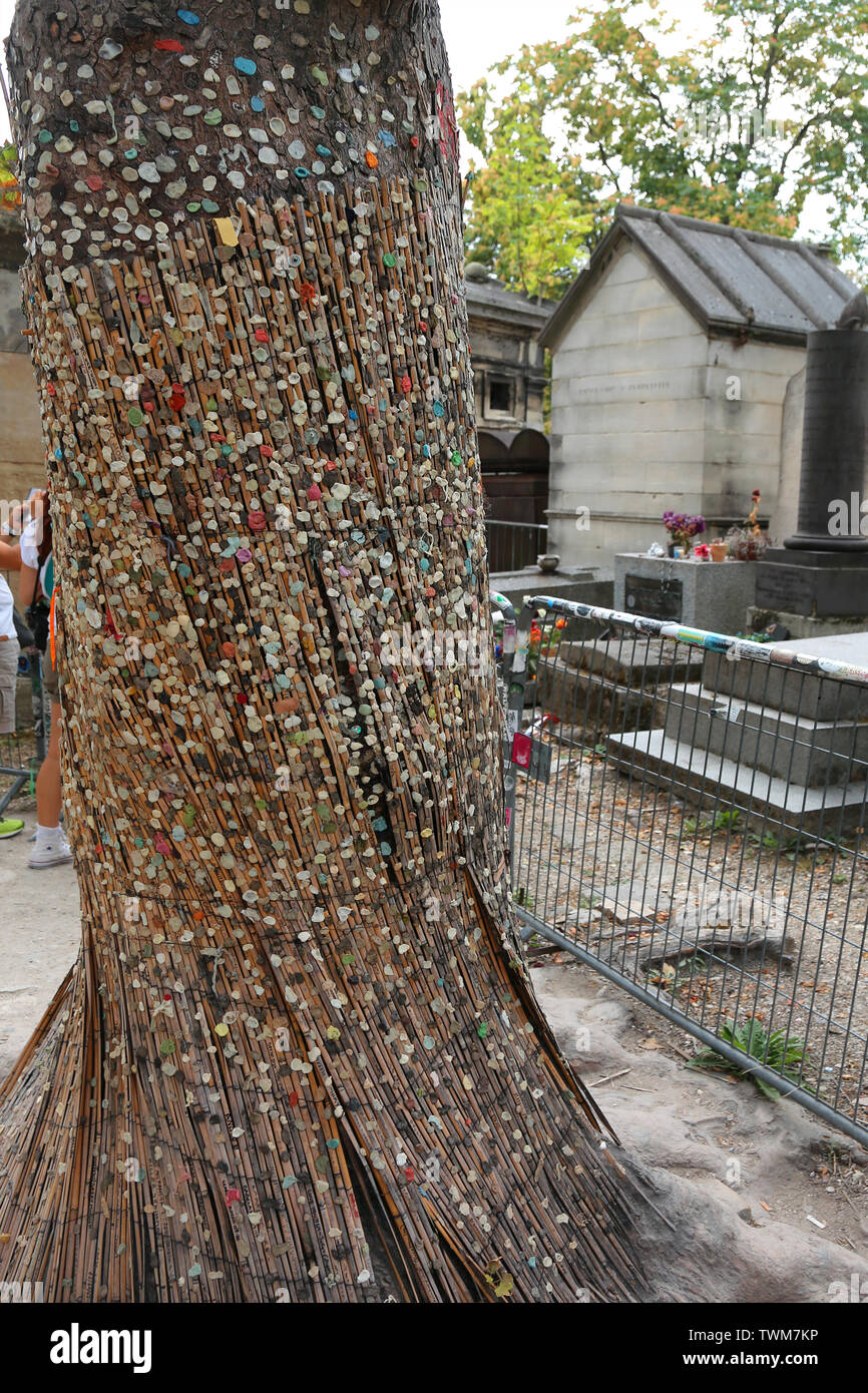 Parigi, France - August 21, 2018: Big Tree with chewing gum in the near ...