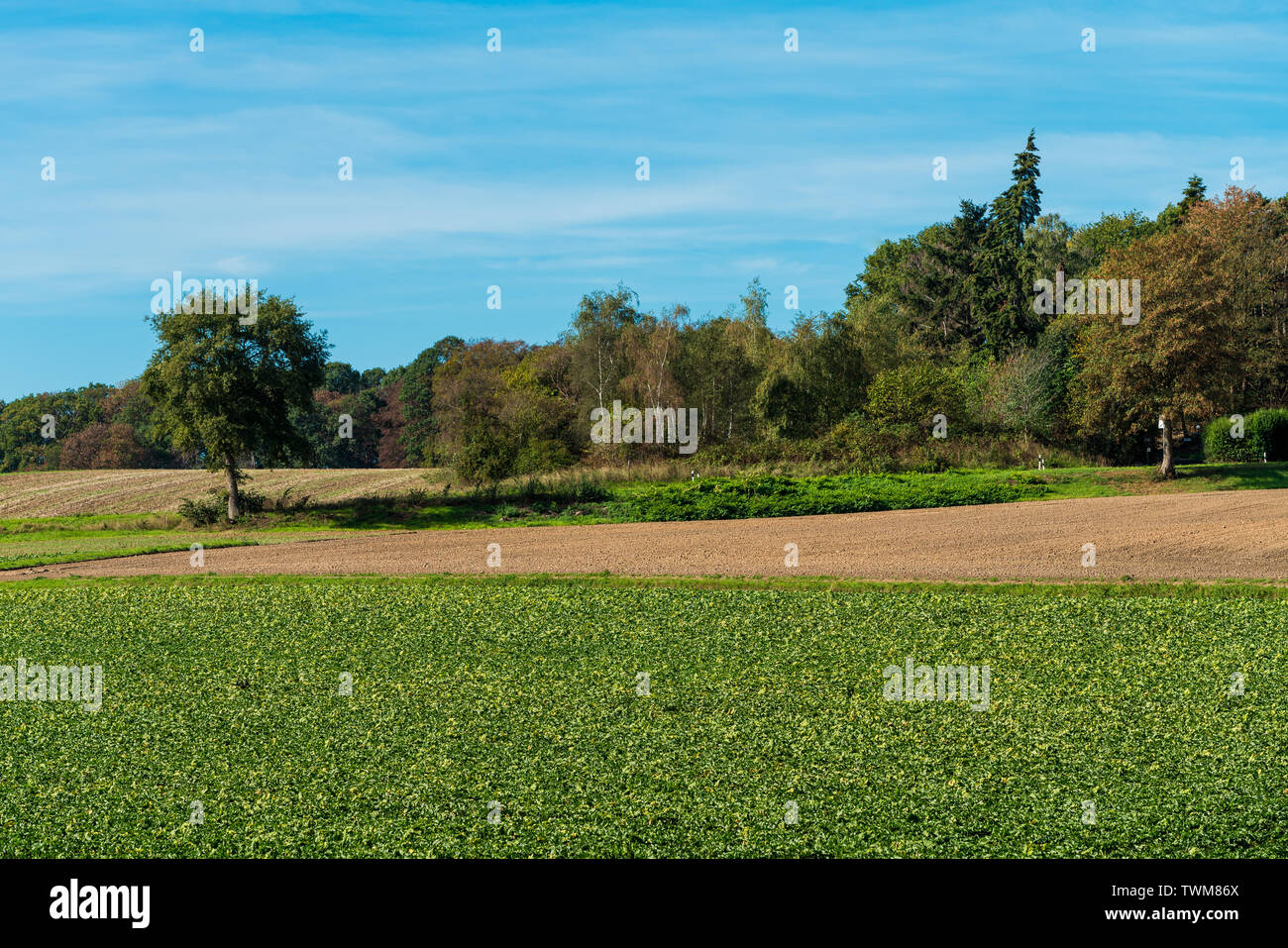 farmland landscape in Europe Stock Photo - Alamy