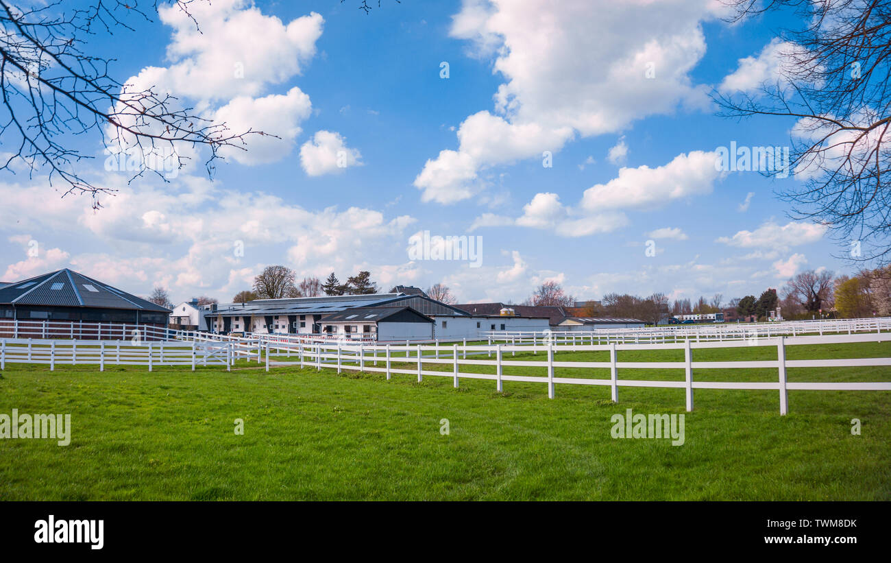 Horse ranch background. Country summer landscape Stock Photo - Alamy