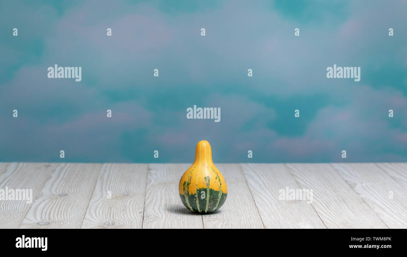Tiny autumn yellow and green gourd on wood with blue background Stock ...