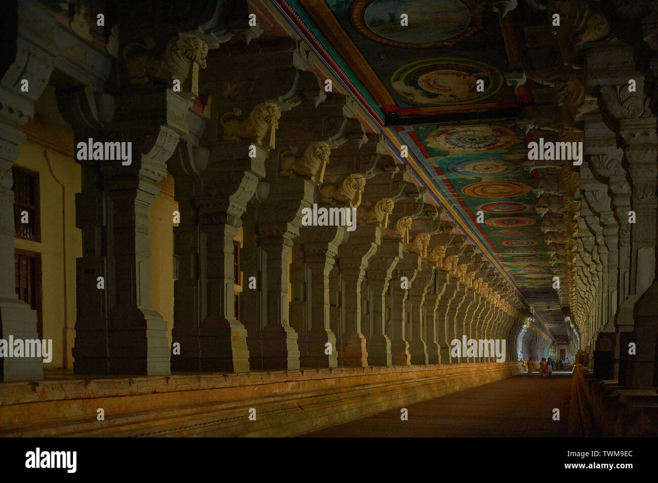 23 Aug 2009 Colourfully painted pillars and ceiling, Ramanathaswami ...