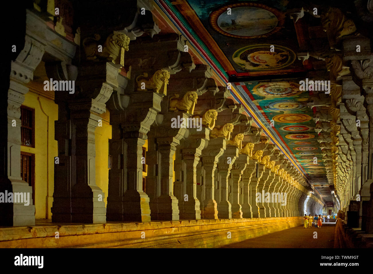 Rameswaram columns hi-res stock photography and images - Alamy