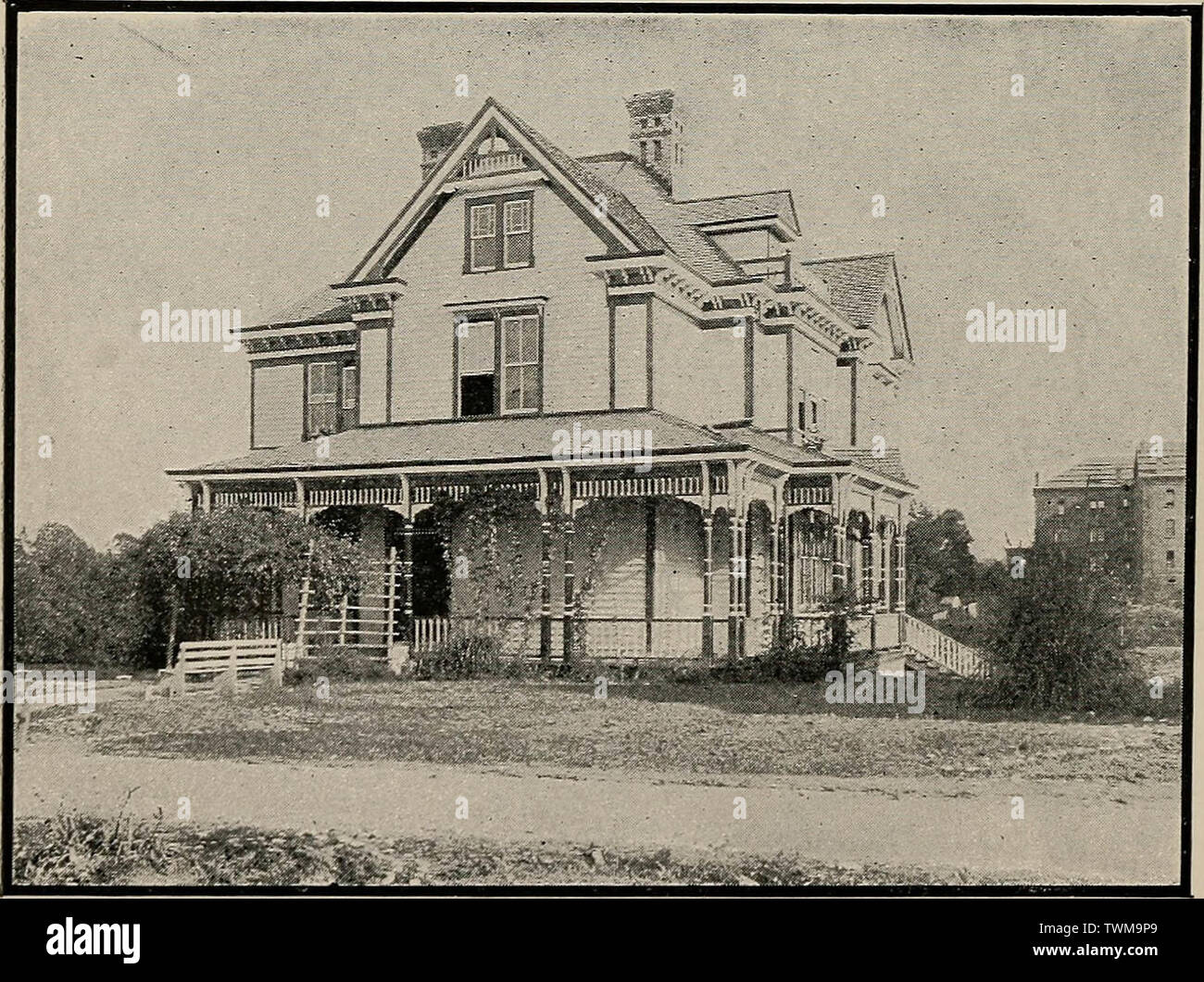 "The upward path : the evolution of a race" (1909 Stock Photo - Alamy