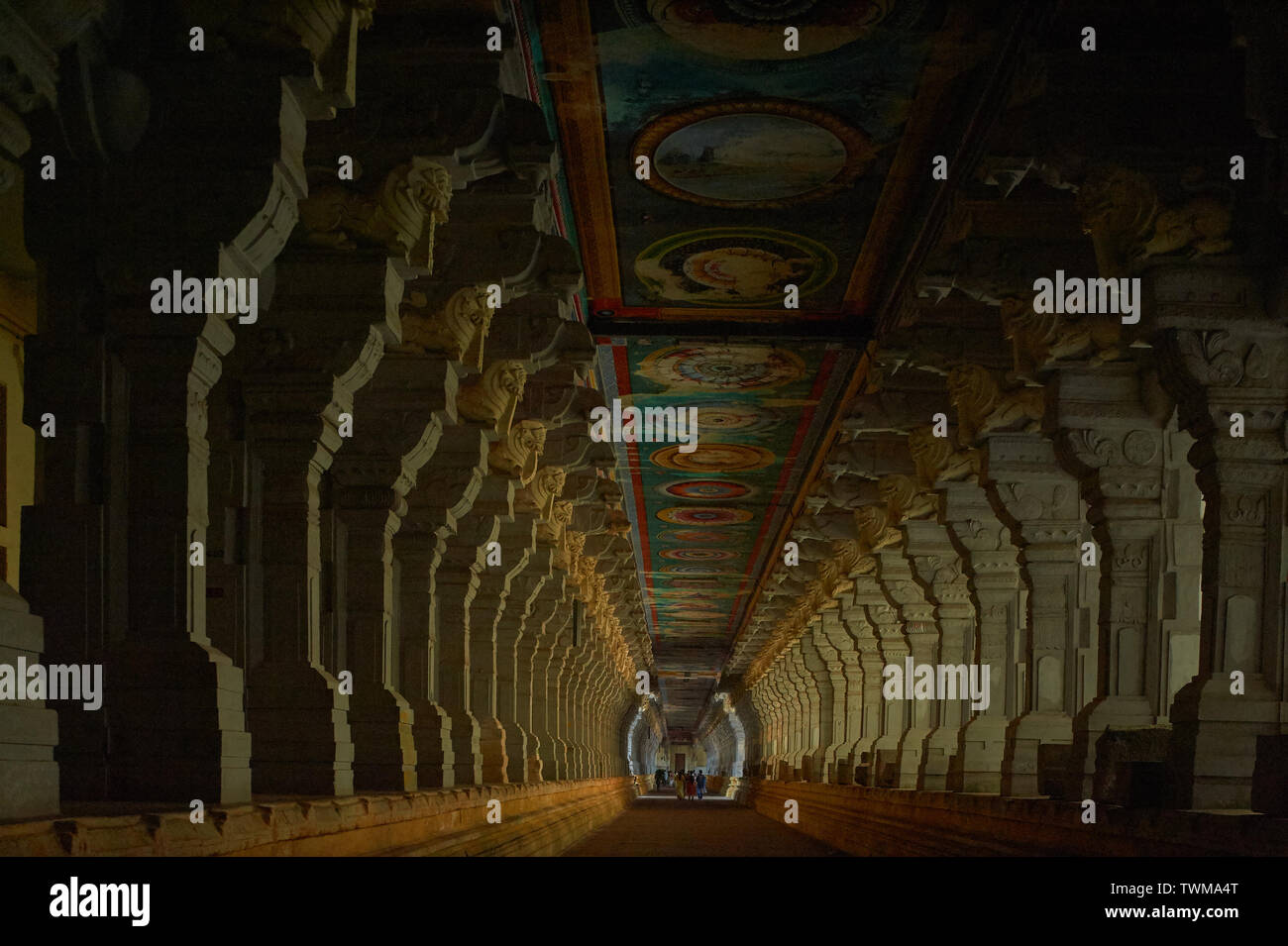 Rameswaram columns hi-res stock photography and images - Alamy
