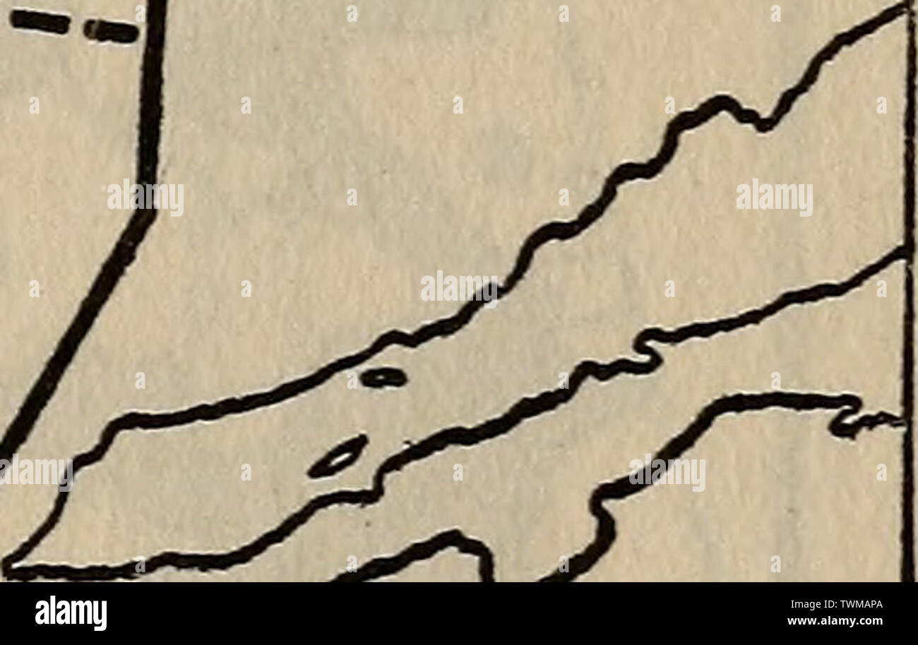 "The upward path : the evolution of a race" (1909 Stock Photo - Alamy