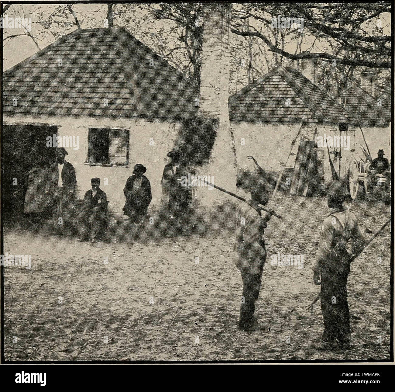 "The upward path : the evolution of a race" (1909 Stock Photo - Alamy