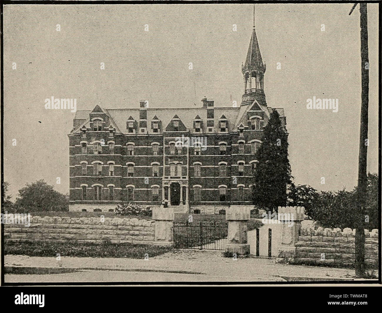 "The upward path : the evolution of a race" (1909 Stock Photo - Alamy