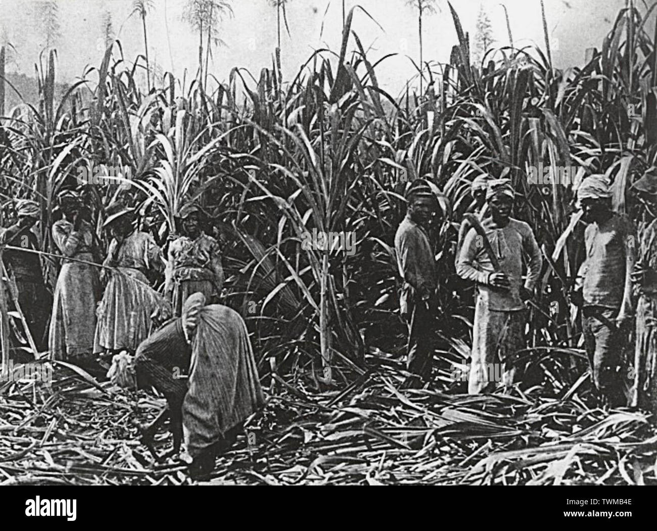 Indentured High Resolution Stock Photography and Images - Alamy