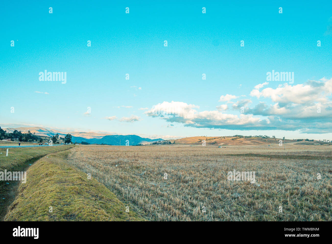 Landscape of wheat crops in the "Pampa de la Culebra Cajamarca Peru ...