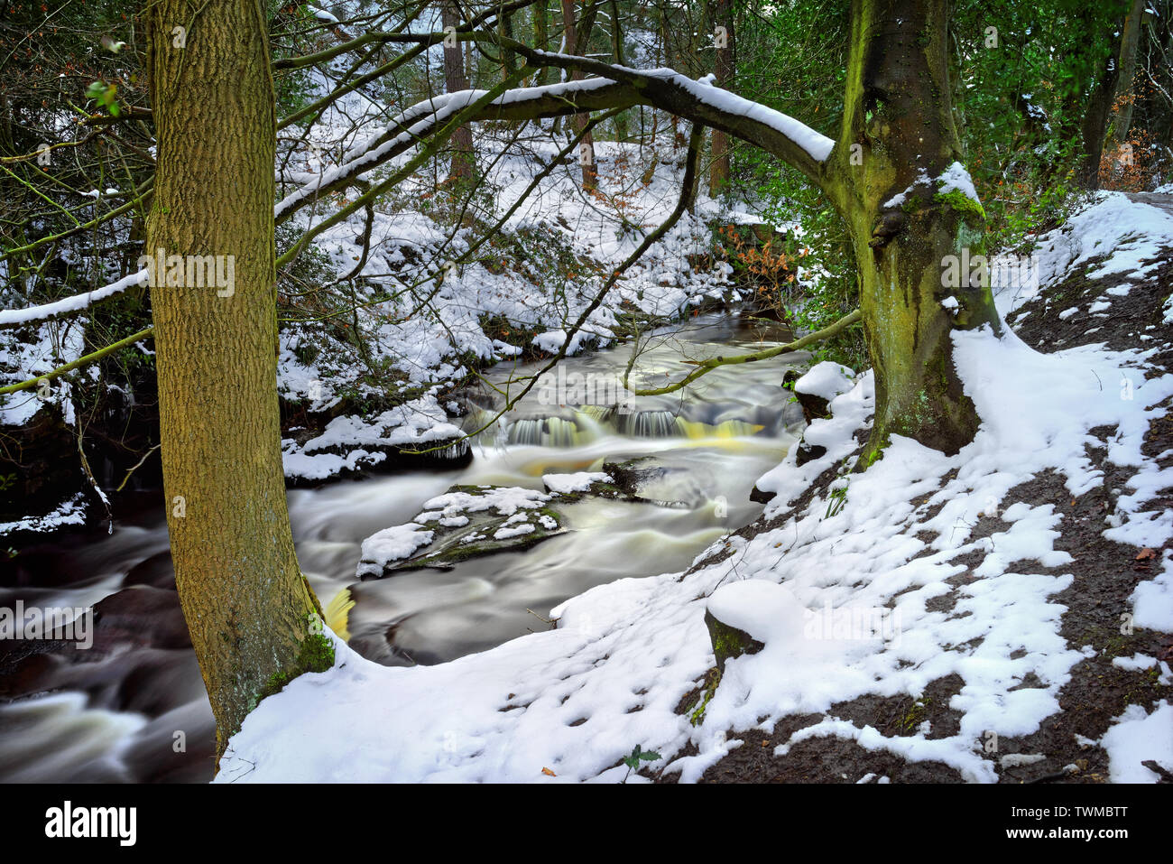 UK,South Yorkshire,Sheffield,River Rivelin in Winter Stock Photo - Alamy
