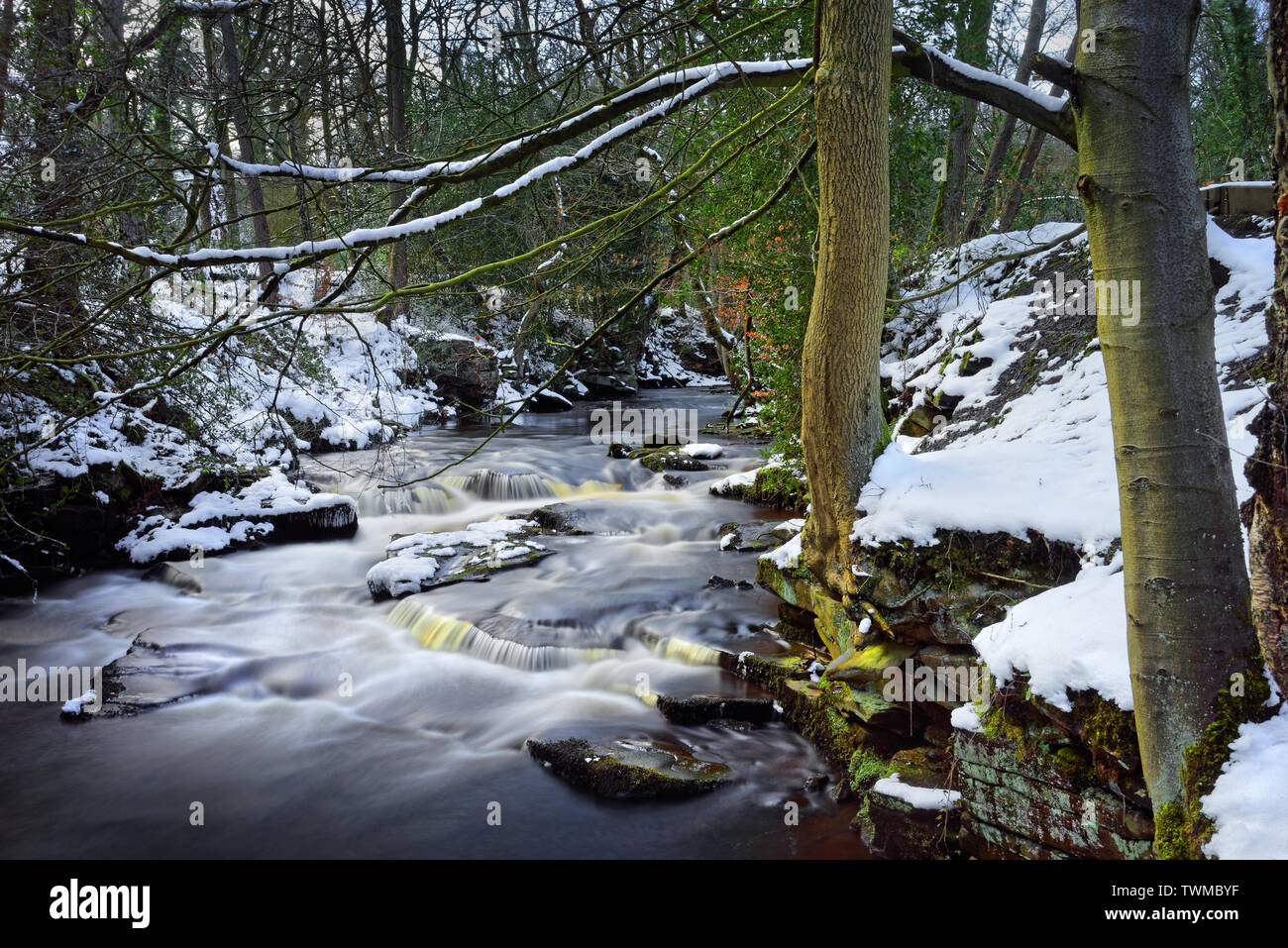 Rivelin river hi-res stock photography and images - Alamy