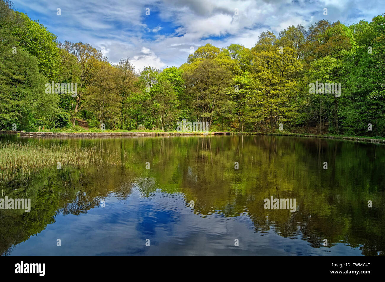 Wolf wheel dam hi-res stock photography and images - Alamy