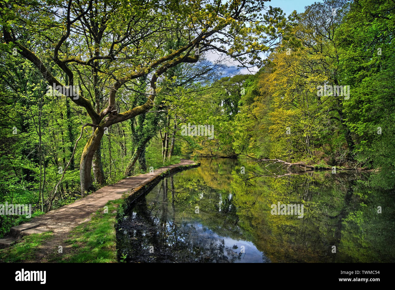UK,South Yorkshire,Sheffield,Wolf Wheel Dam at Rivelin Stock Photo - Alamy