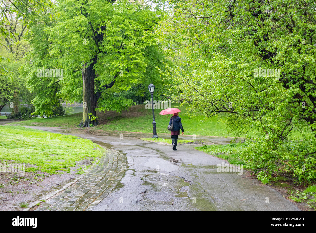 Walking In The Rain Alone Wallpaper