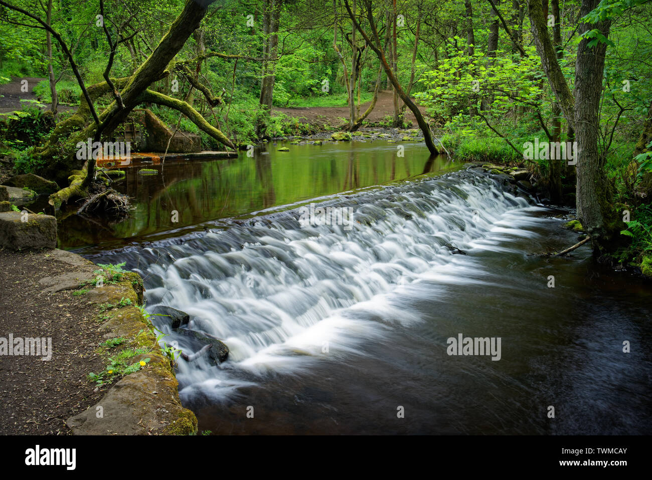 Rivelin valley waterfalls hi-res stock photography and images - Alamy