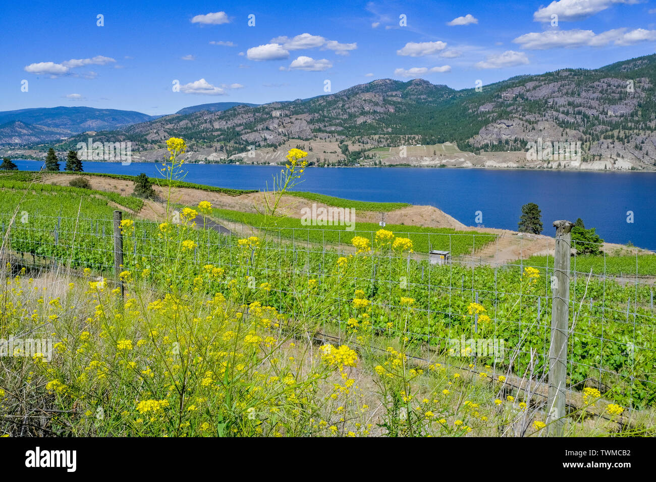 Skaha lake hi-res stock photography and images - Alamy