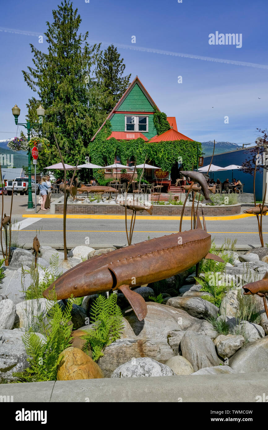 White sturgeon british columbia hi-res stock photography and images - Alamy
