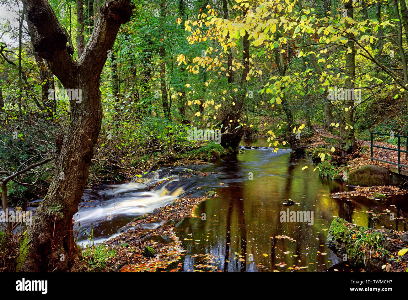UK,South Yorkshire,Sheffield,River Rivelin,Swallow Wheel Stock Photo ...