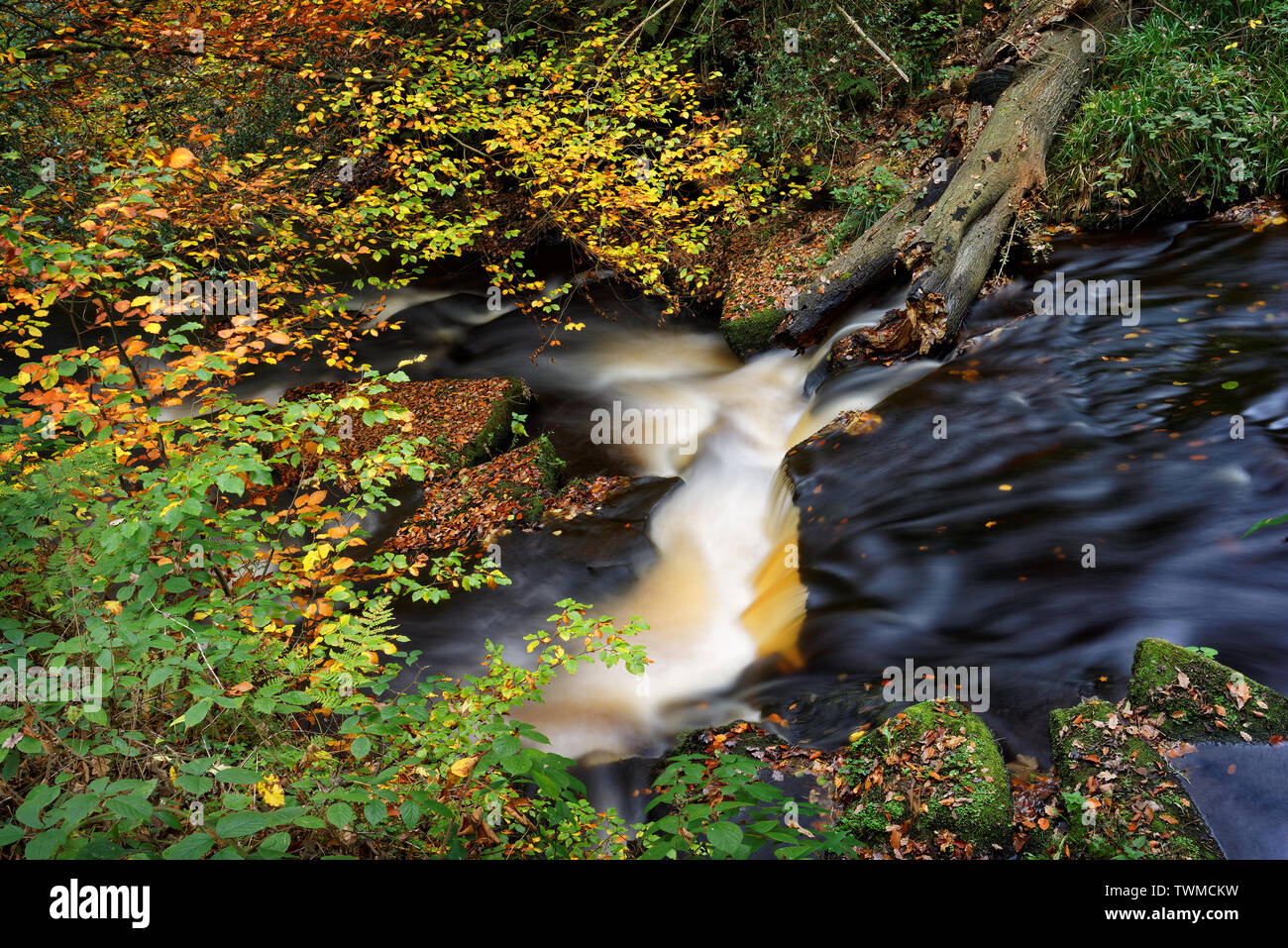 Rivelin valley nature trail hi-res stock photography and images - Alamy