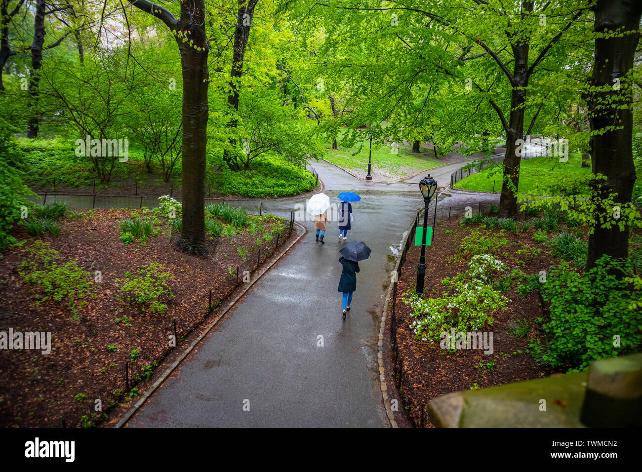 Central park new york city rain hi-res stock photography and images - Alamy