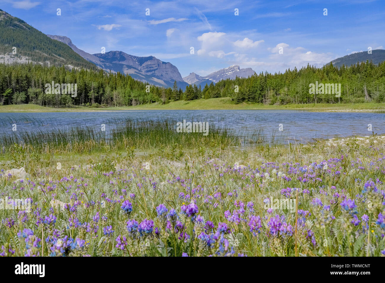 Middle lake hi-res stock photography and images - Alamy