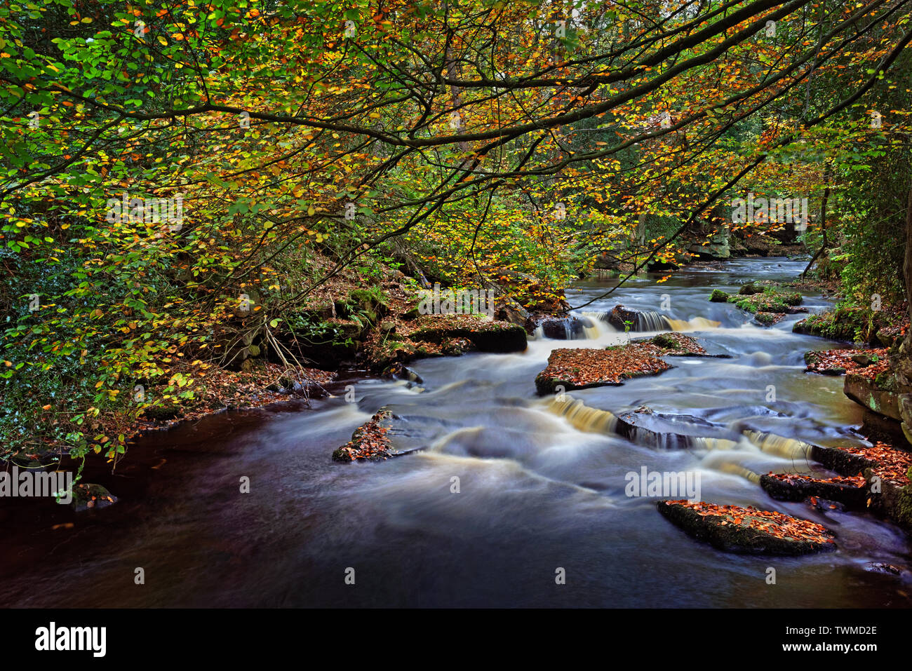 Rivelin river hi-res stock photography and images - Alamy