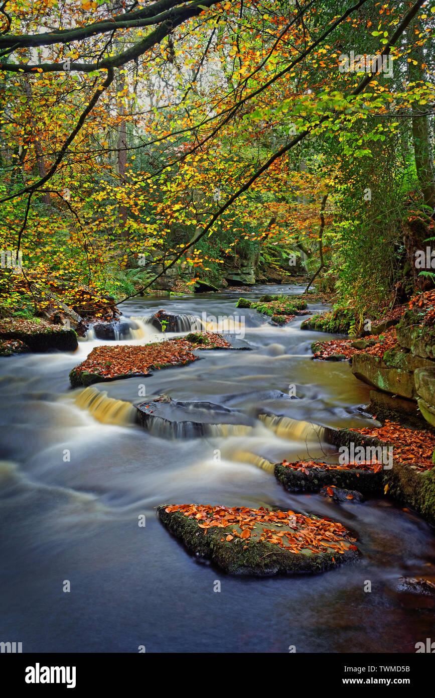 Rivelin valley waterfall hi-res stock photography and images - Alamy