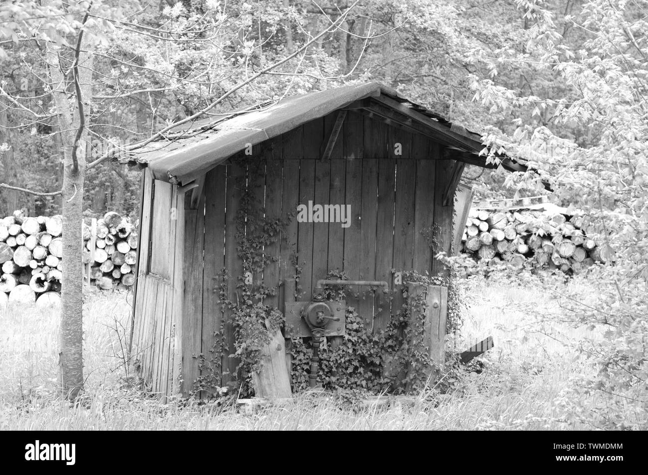 Isolated wooden shack in the garden (Moselkern, Germany, Europe Stock ...