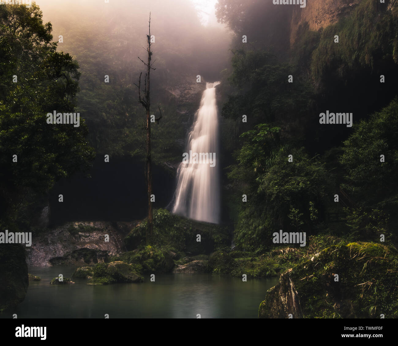 Aerial view waterfall lake forest hi-res stock photography and images ...