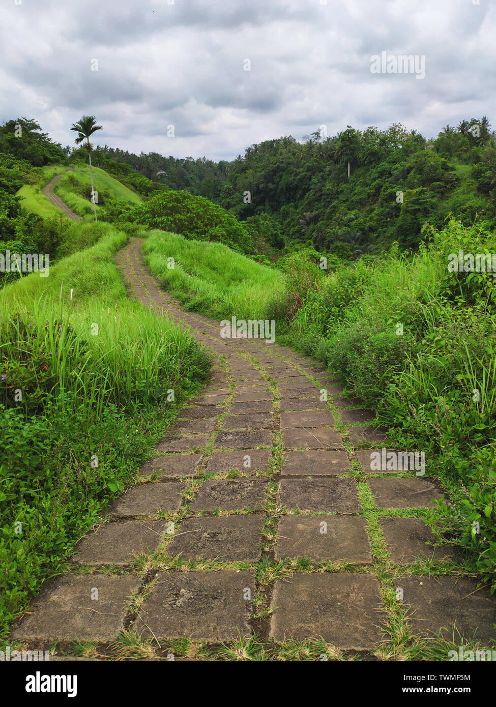Campuhan ridge walk scenic green hi-res stock photography and images ...