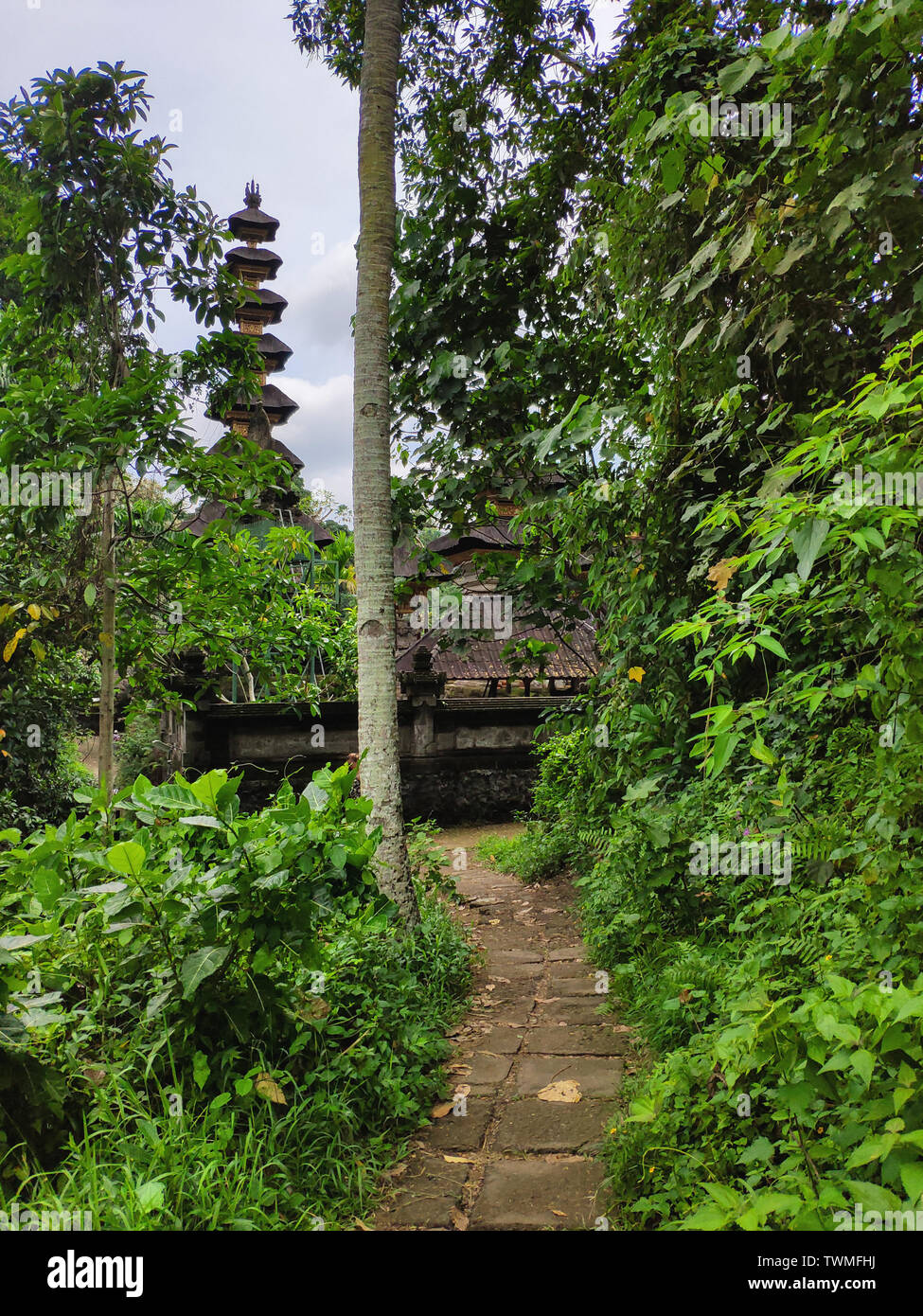 Scenic green road in Ubud ,Bali Stock Photo - Alamy