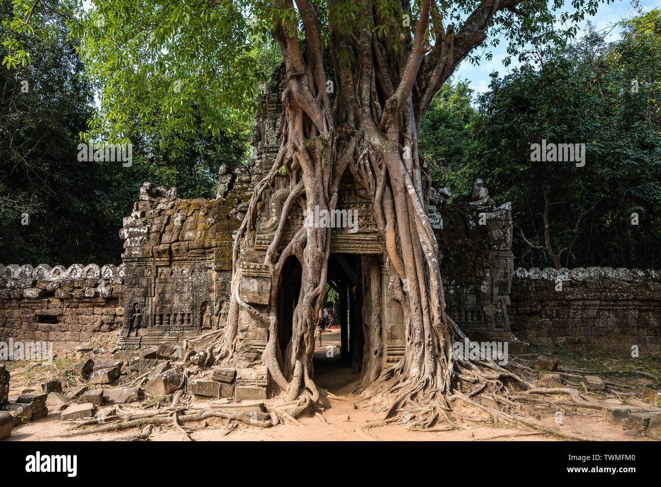 Ancient ruins of Ta Som temple in Angkor Wat complex, Cambodia. Stone ...