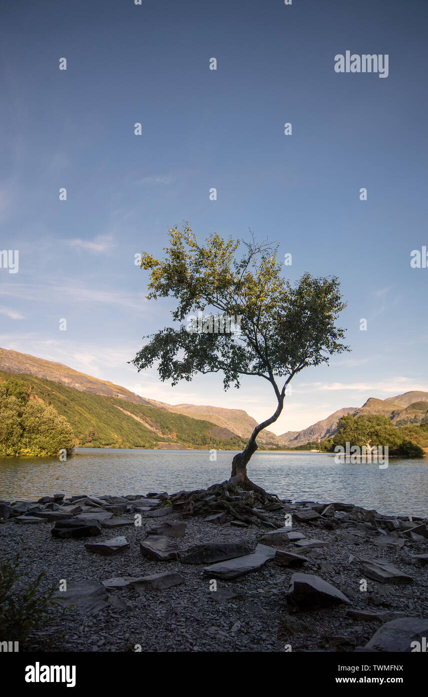 What to do in llanberis hi-res stock photography and images - Alamy