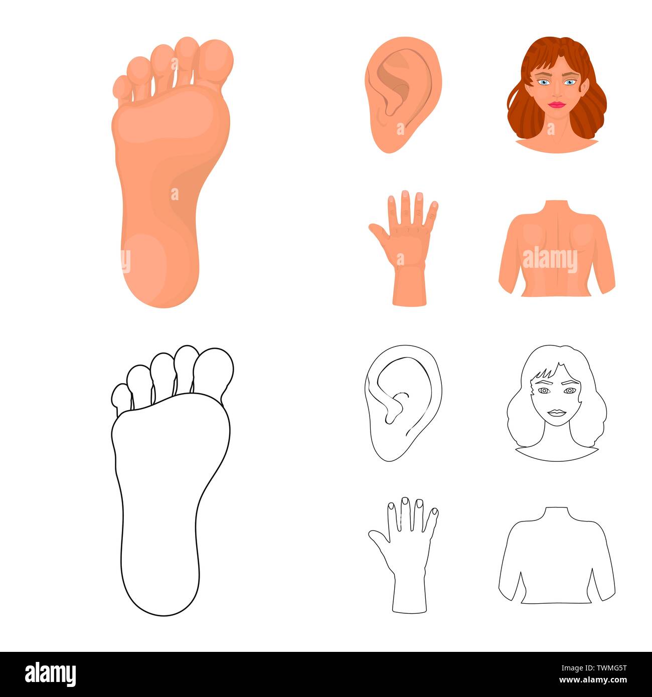Vector design of body and part symbol. Set of body and anatomy stock ...